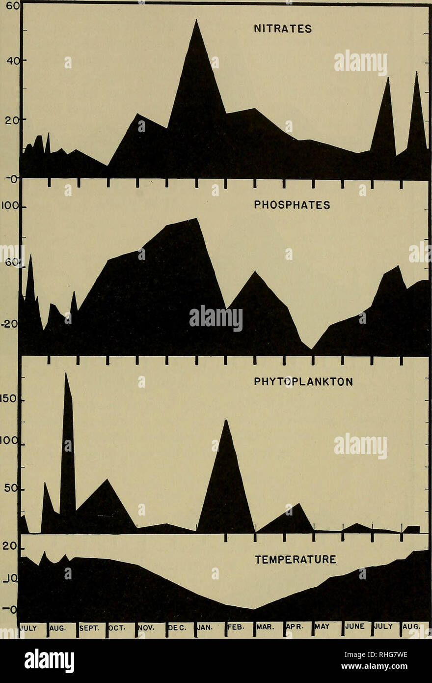 15 milligrams hi-res stock photography and images - Alamy