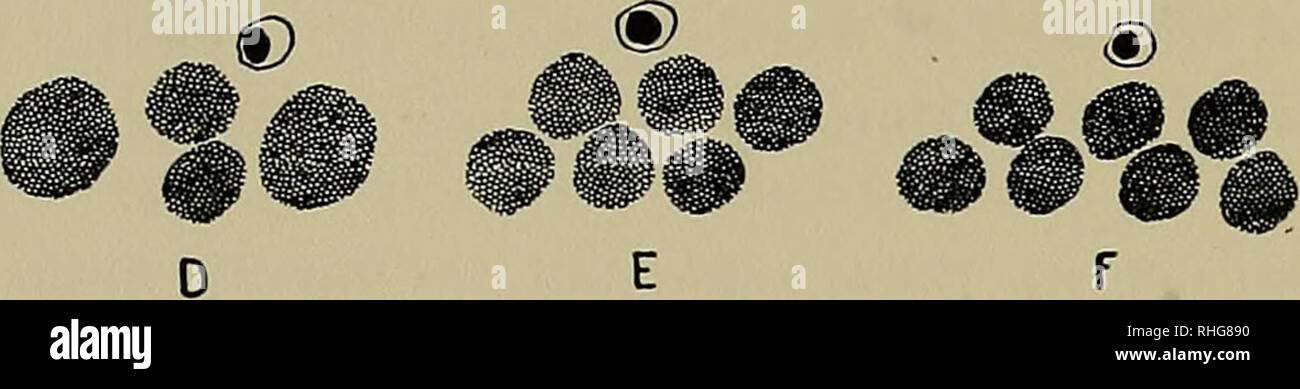 Aci marine hi-res stock photography and images - Alamy