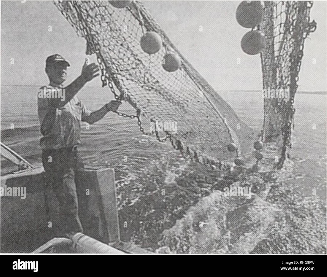 Wendy speck hi-res stock photography and images - Alamy