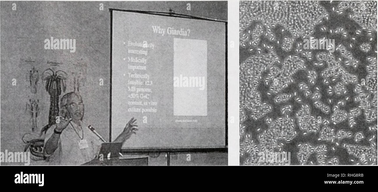 The david florida laboratory hi-res stock photography and images - Alamy