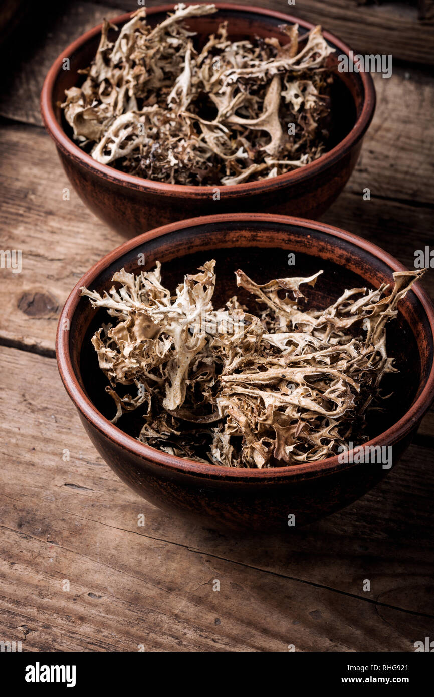 Moss treatment hi-res stock photography and images - Alamy