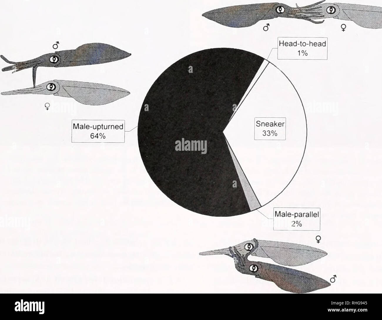 Four biological types hi-res stock photography and images - Alamy