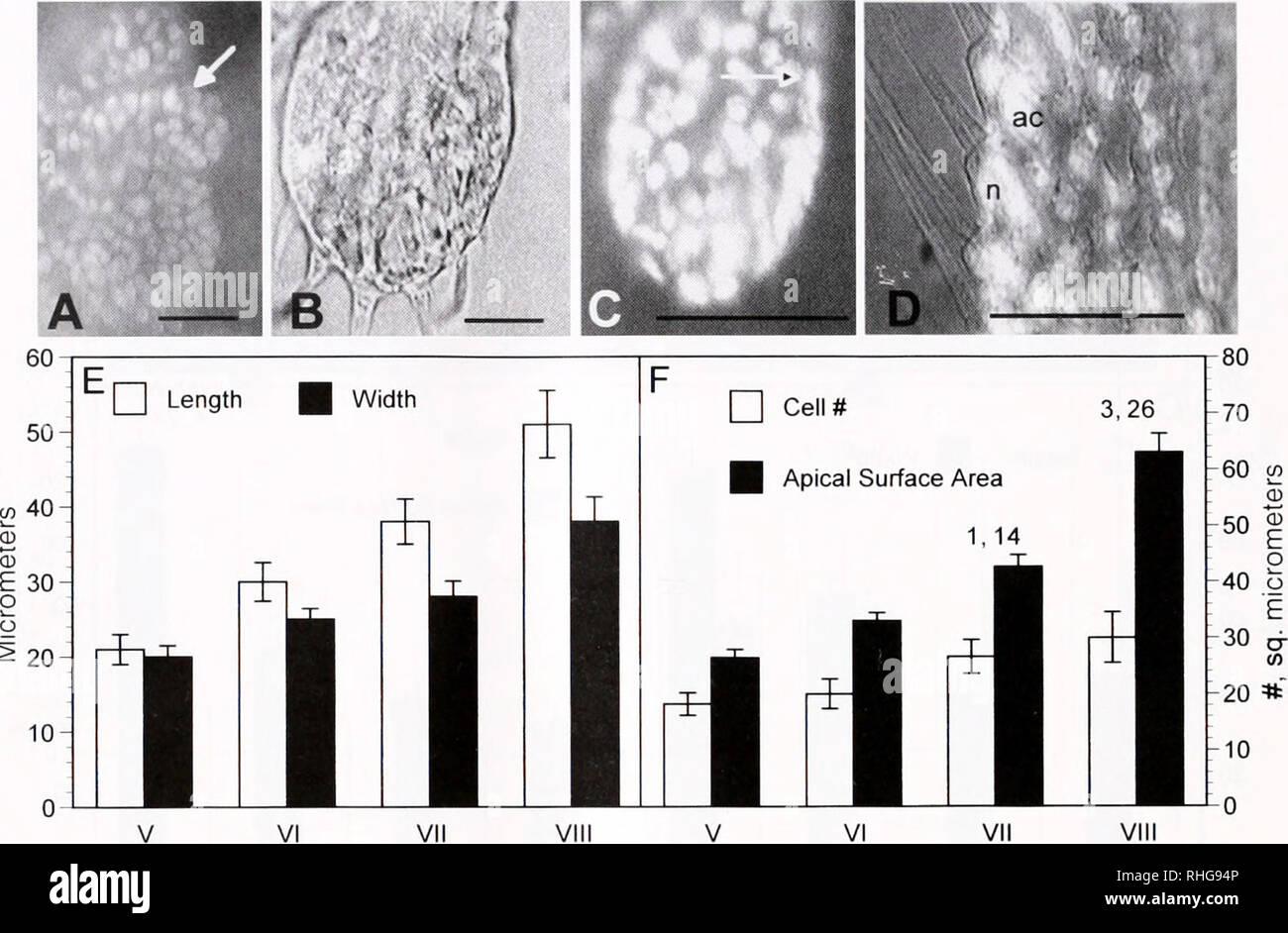 . The Biological bulletin. Biology; Zoology; Biology; Marine Biology ...