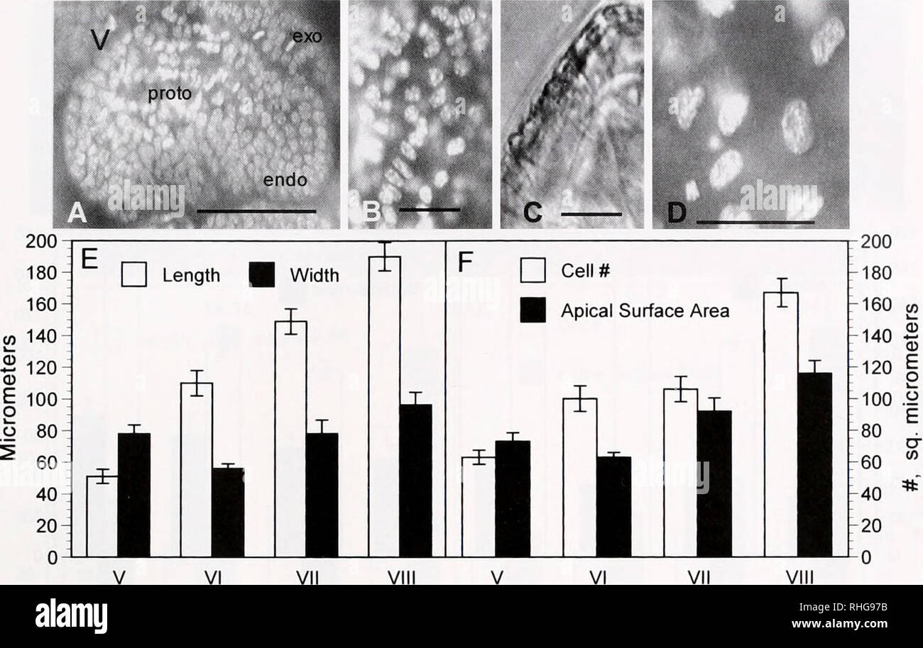 . The Biological bulletin. Biology; Zoology; Biology; Marine Biology ...