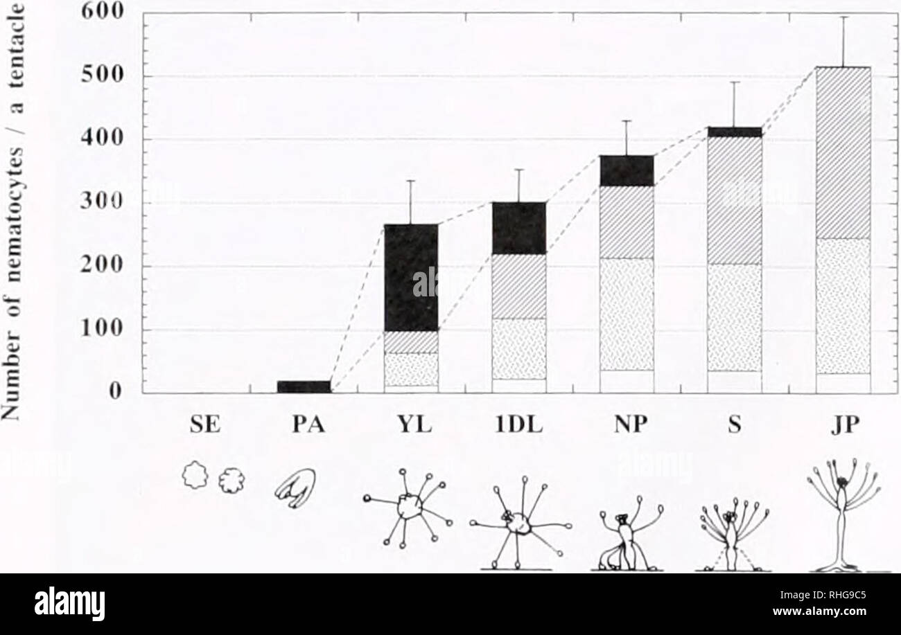 24 tentacle hi-res stock photography and images - Alamy