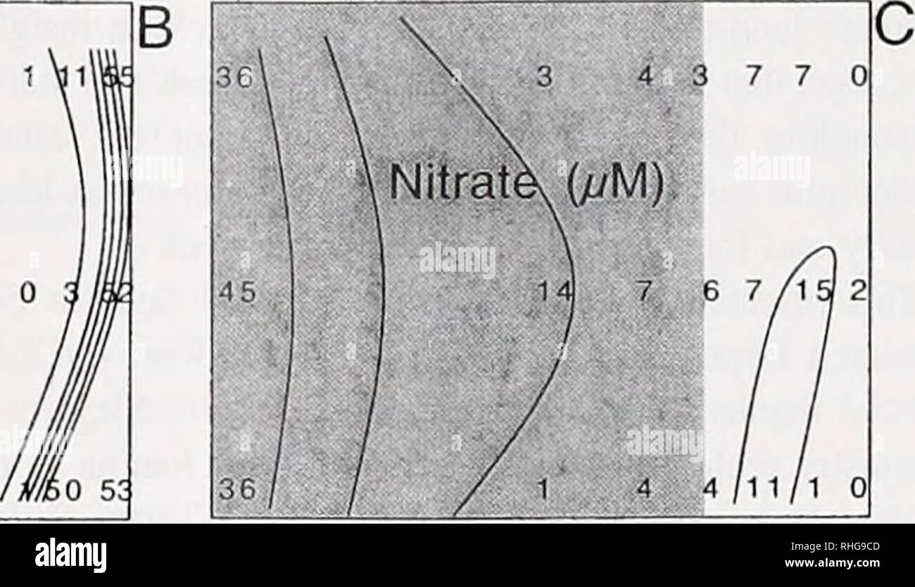 291 meters hi-res stock photography and images - Alamy