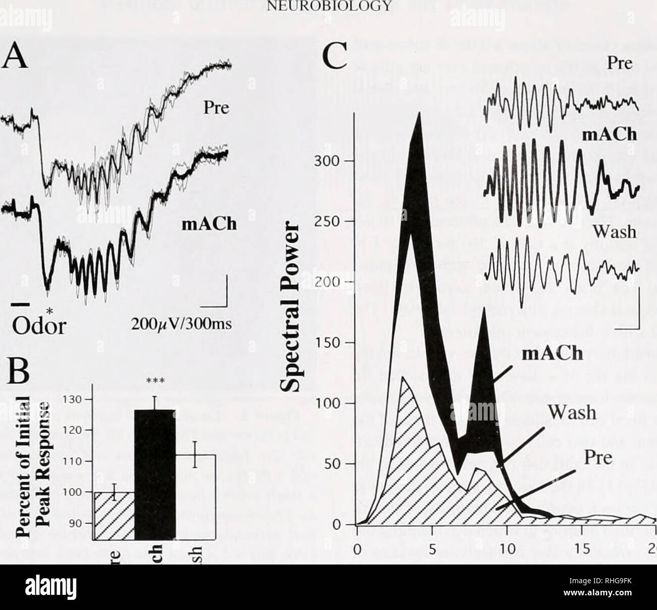 Muscarinic receptor agonist hi-res stock photography and images - Alamy