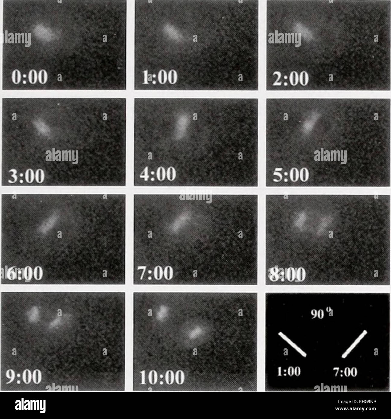 Labeled bottom right hi-res stock photography and images - Alamy