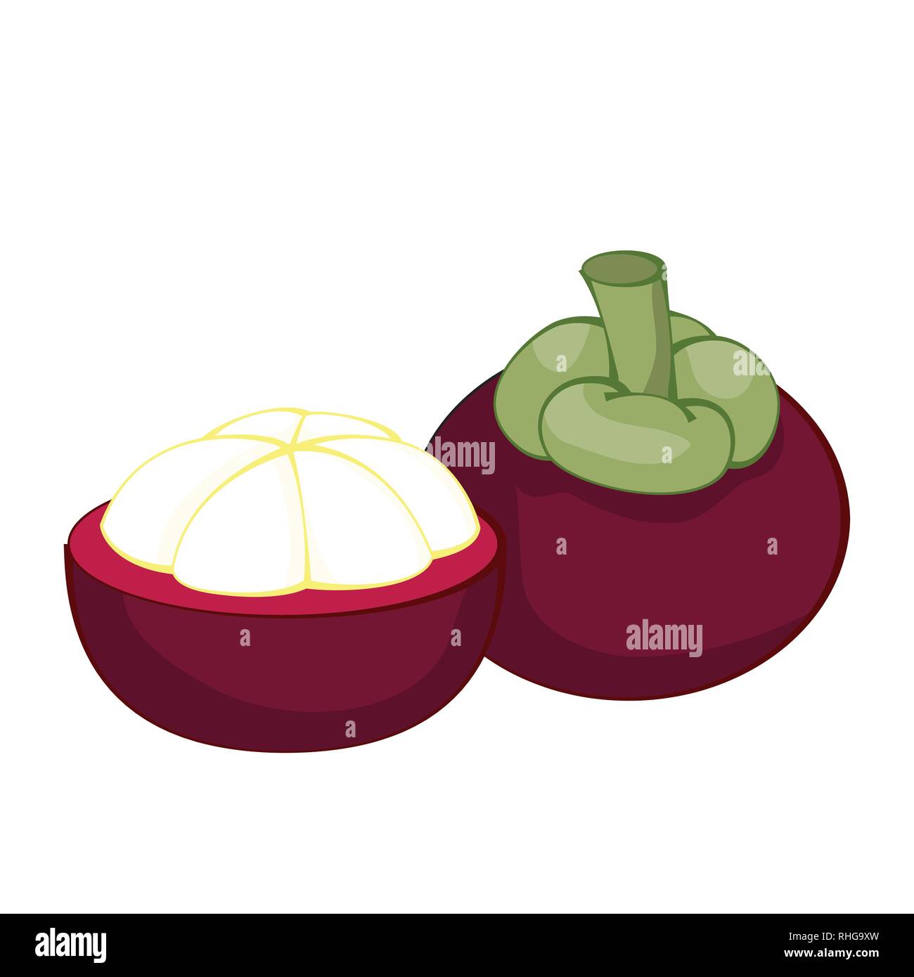 Illustration of fresh fruit mangosteen, isolated on white background ...