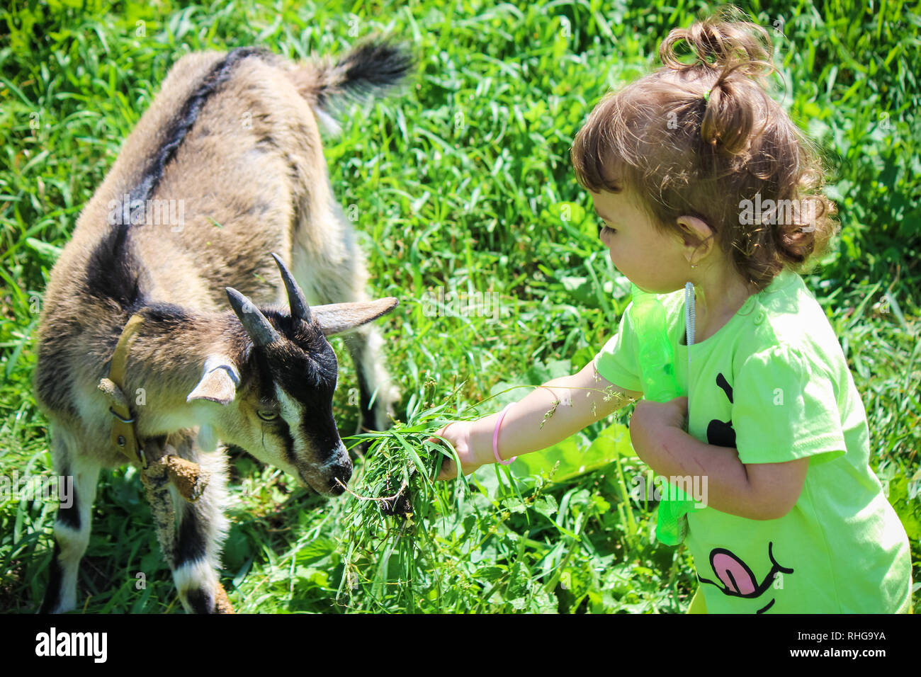 Child hug goat hi-res stock photography and images - Alamy