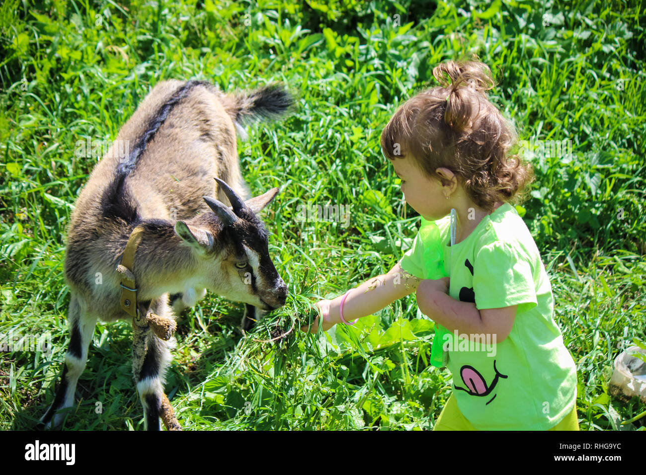 Child hug goat hi-res stock photography and images - Alamy