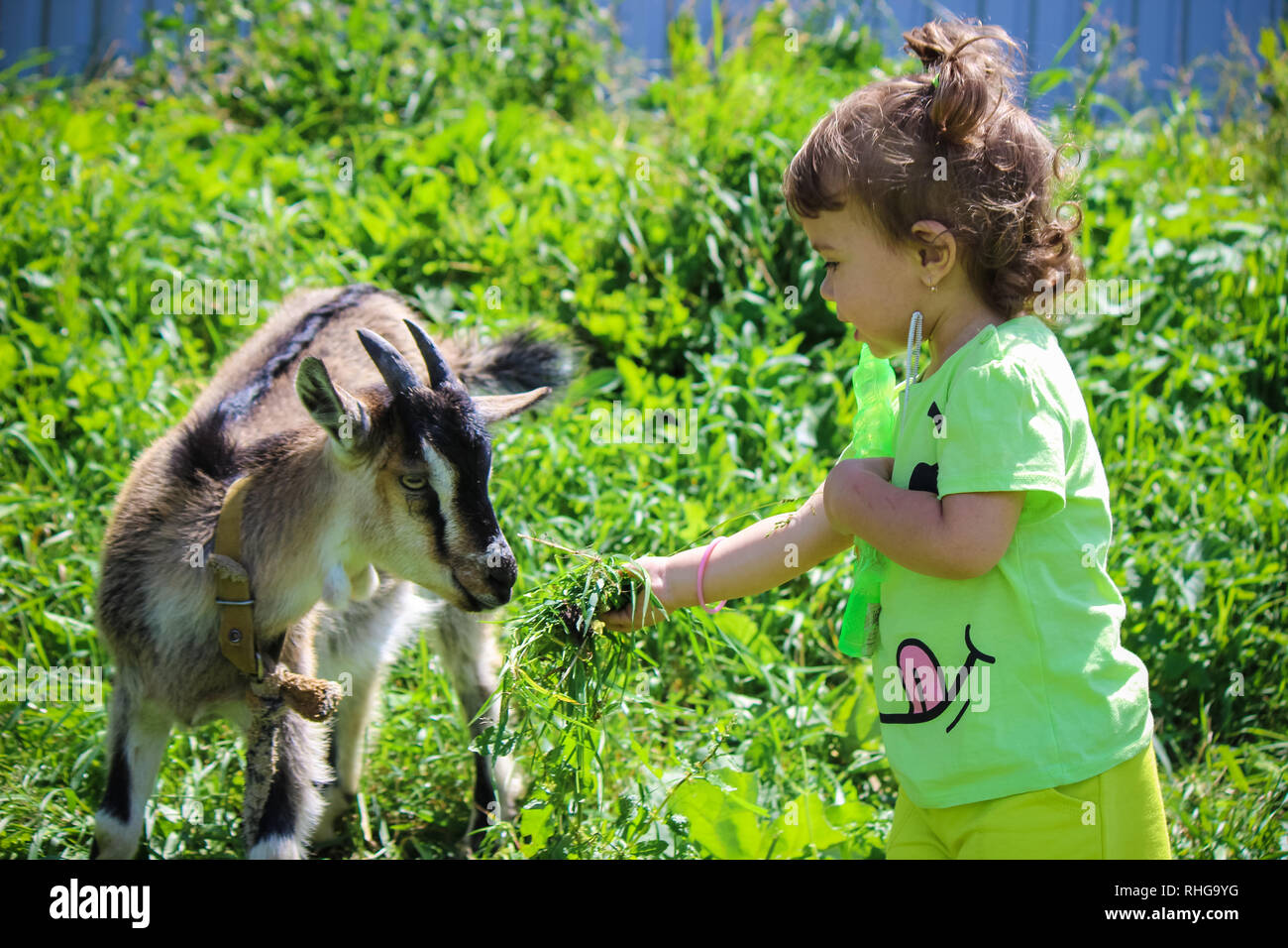 Child hug goat hi-res stock photography and images - Alamy