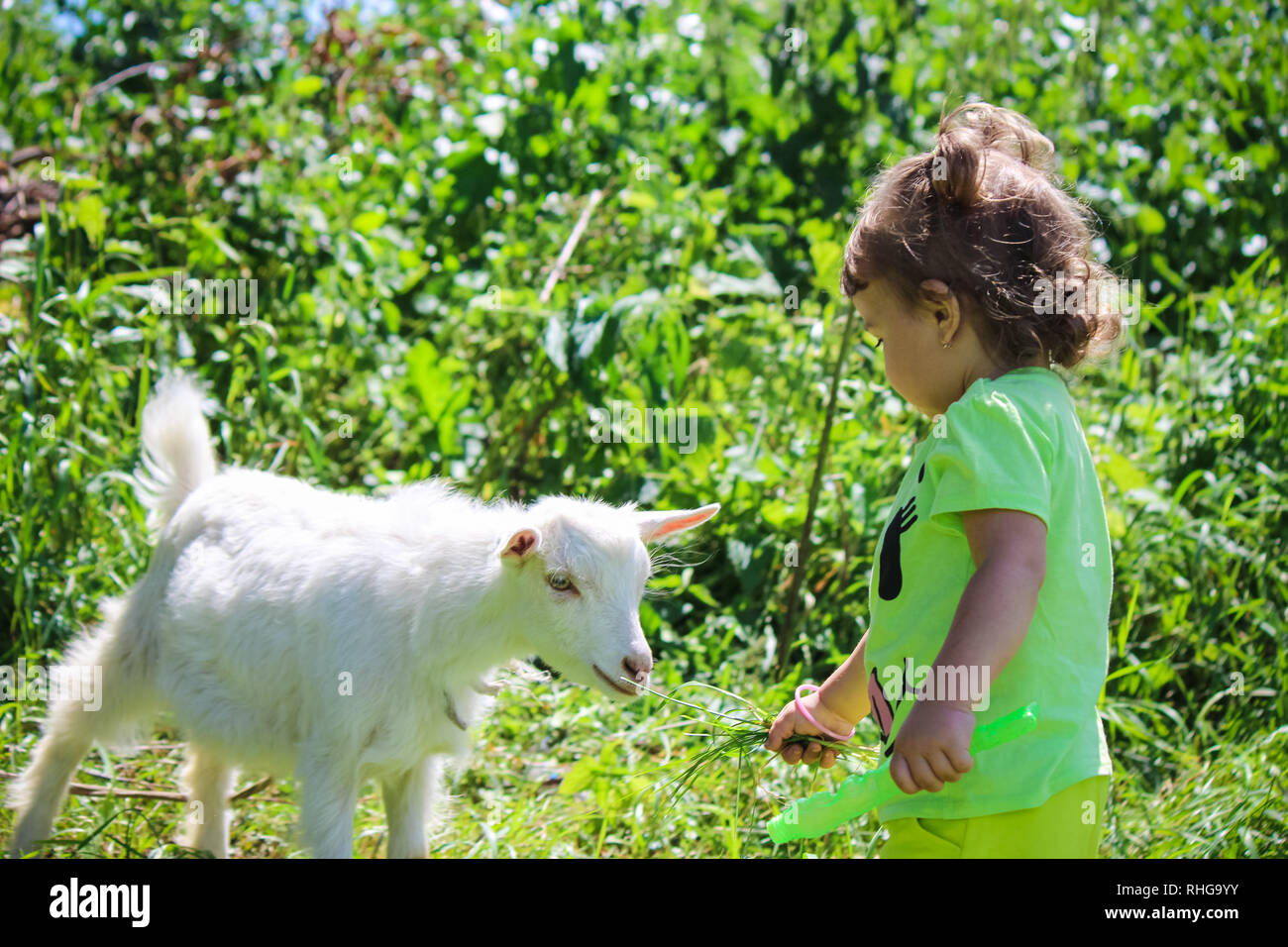 Child Hug Goat High Resolution Stock Photography and Images - Alamy