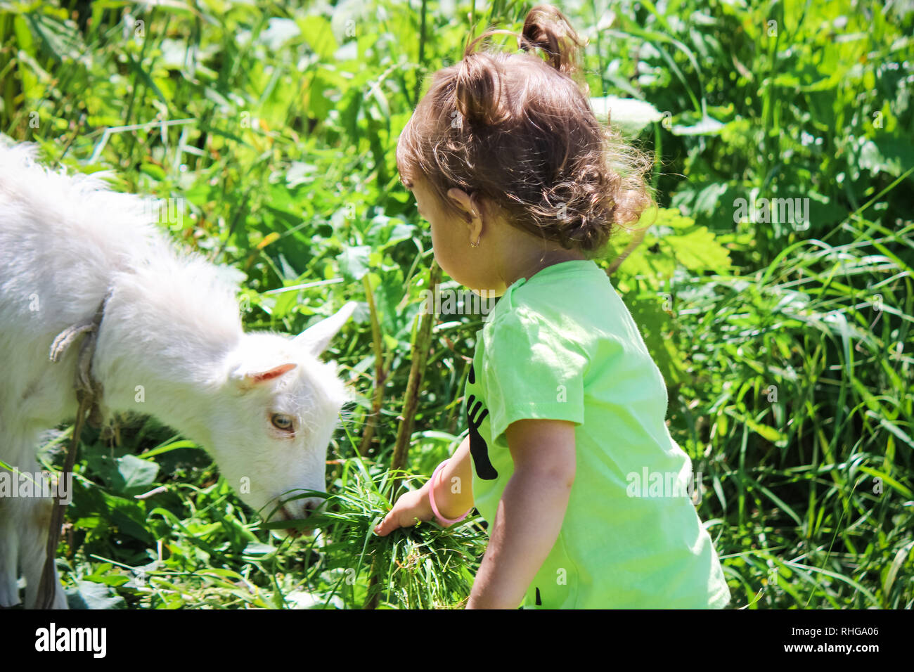 Child hug goat hi-res stock photography and images - Alamy