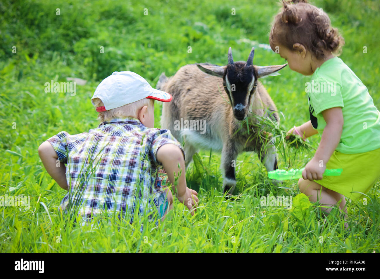 Child hug goat hi-res stock photography and images - Alamy