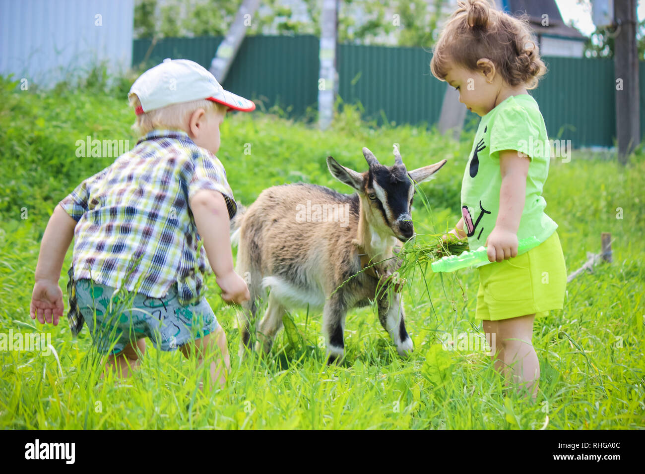 Child hug goat hi-res stock photography and images - Alamy