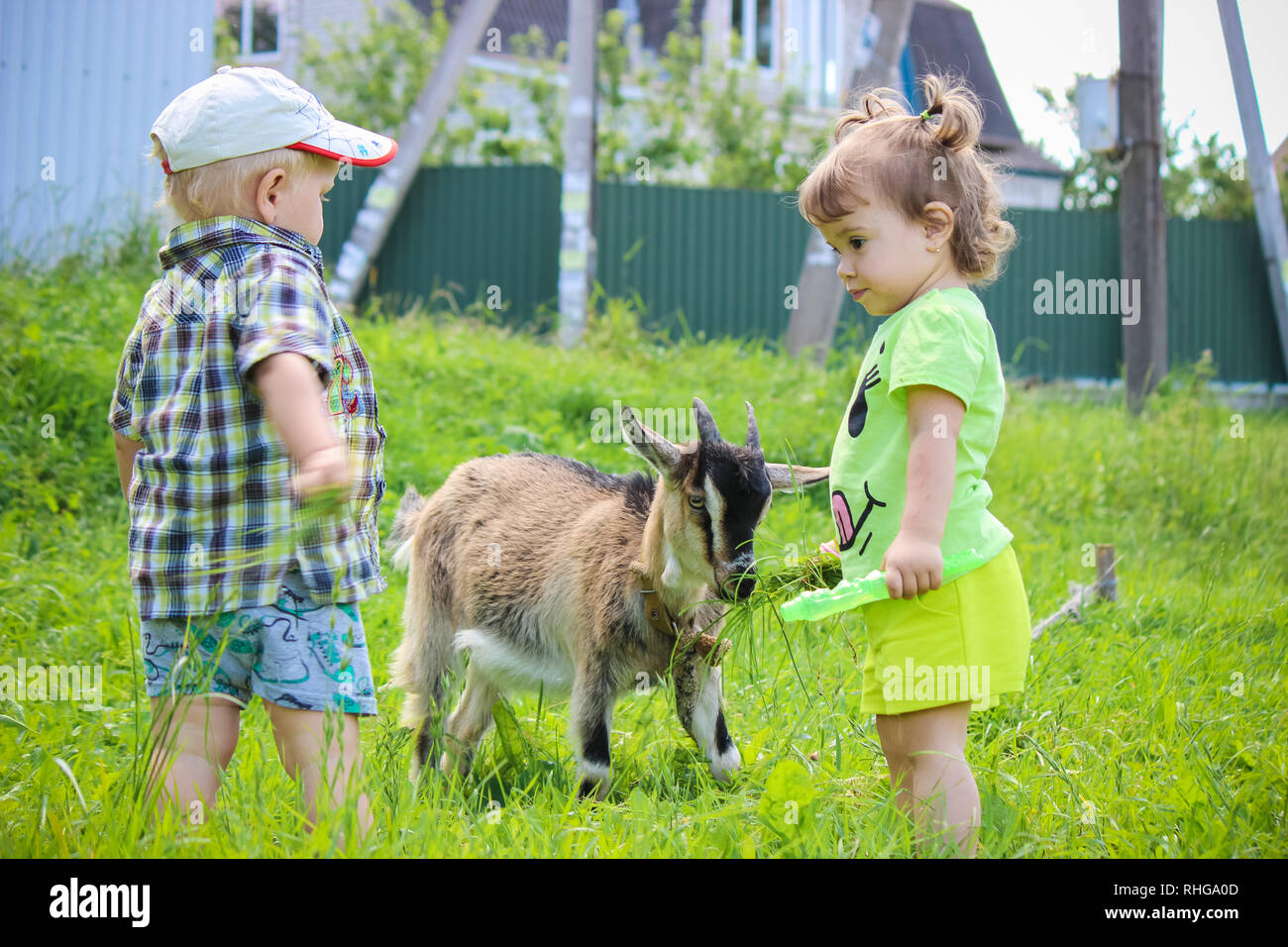 Child hug goat hi-res stock photography and images - Alamy