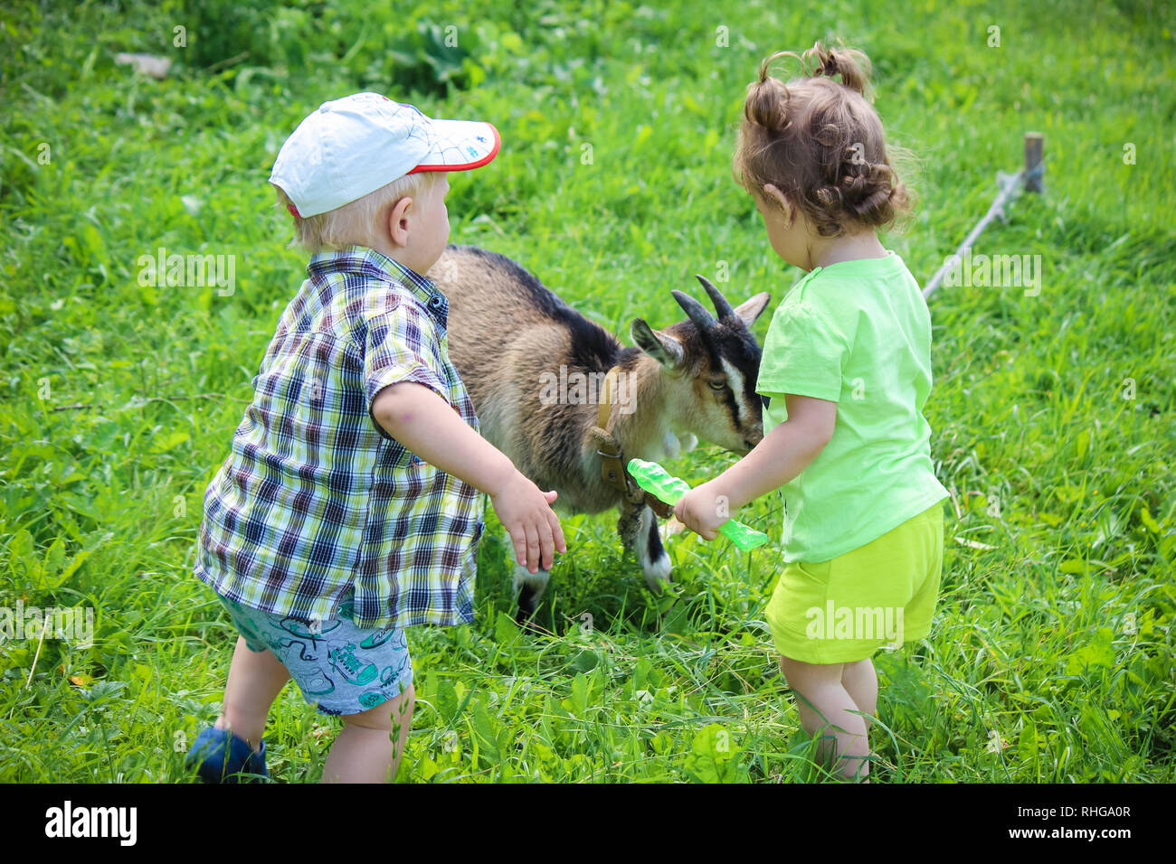 Child hug goat hi-res stock photography and images - Alamy