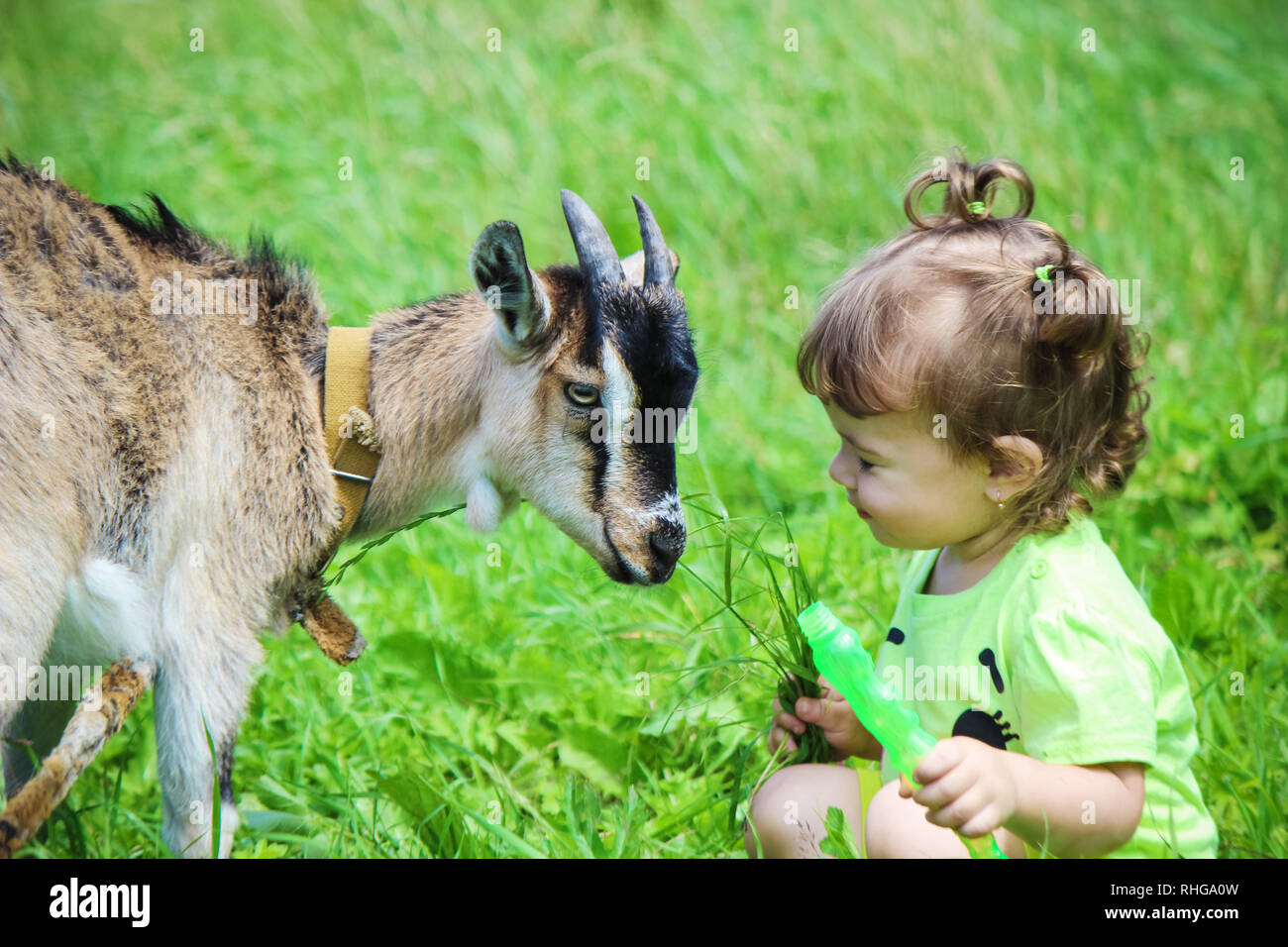 Child hug goat hi-res stock photography and images - Alamy