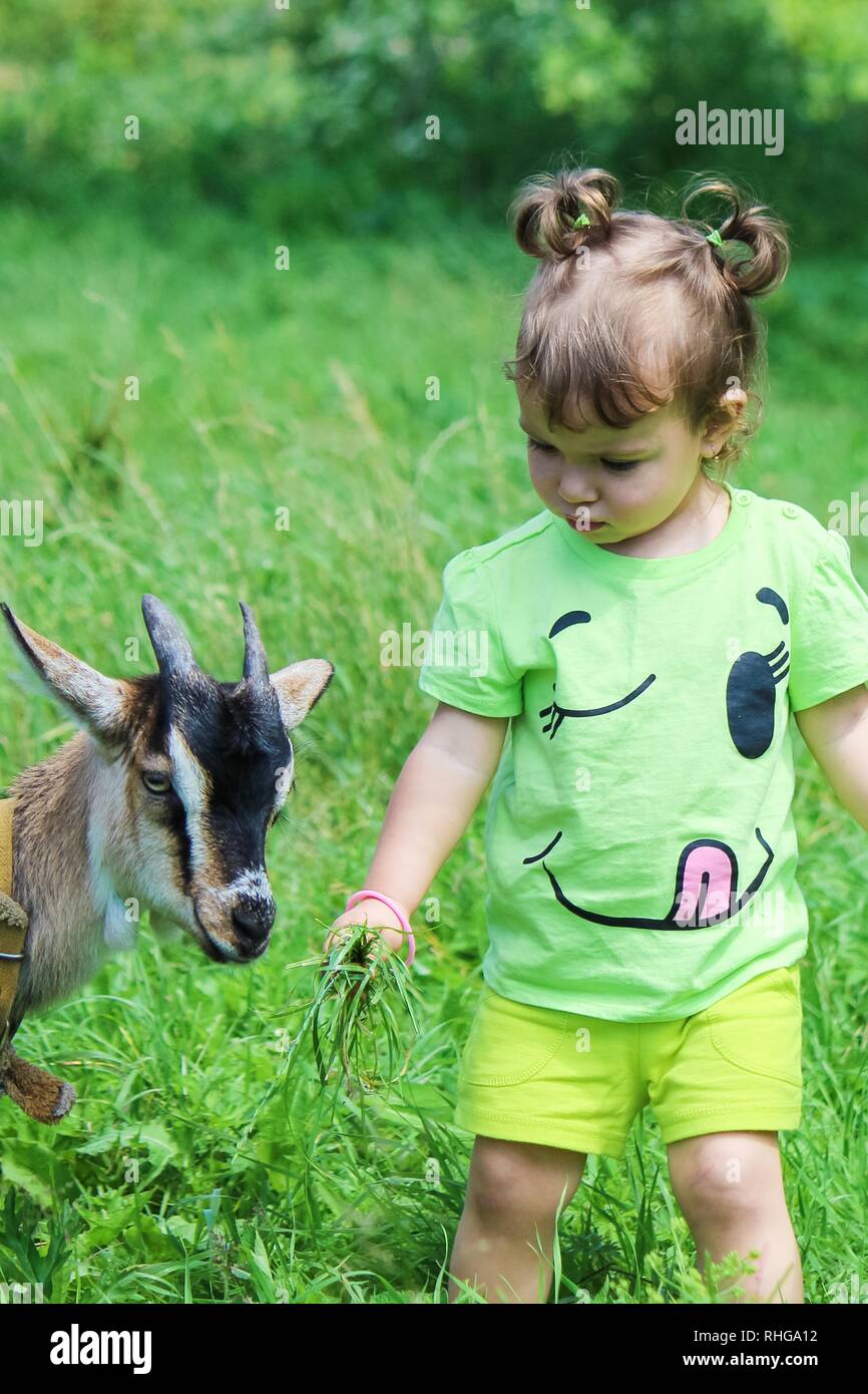 Child hug goat hi-res stock photography and images - Alamy