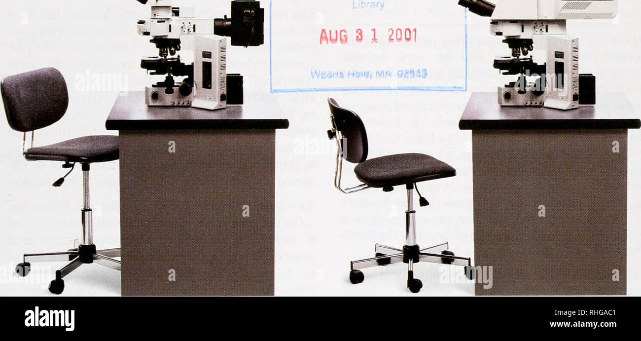 . The Biological bulletin. Biology; Zoology; Biology; Marine Biology ...