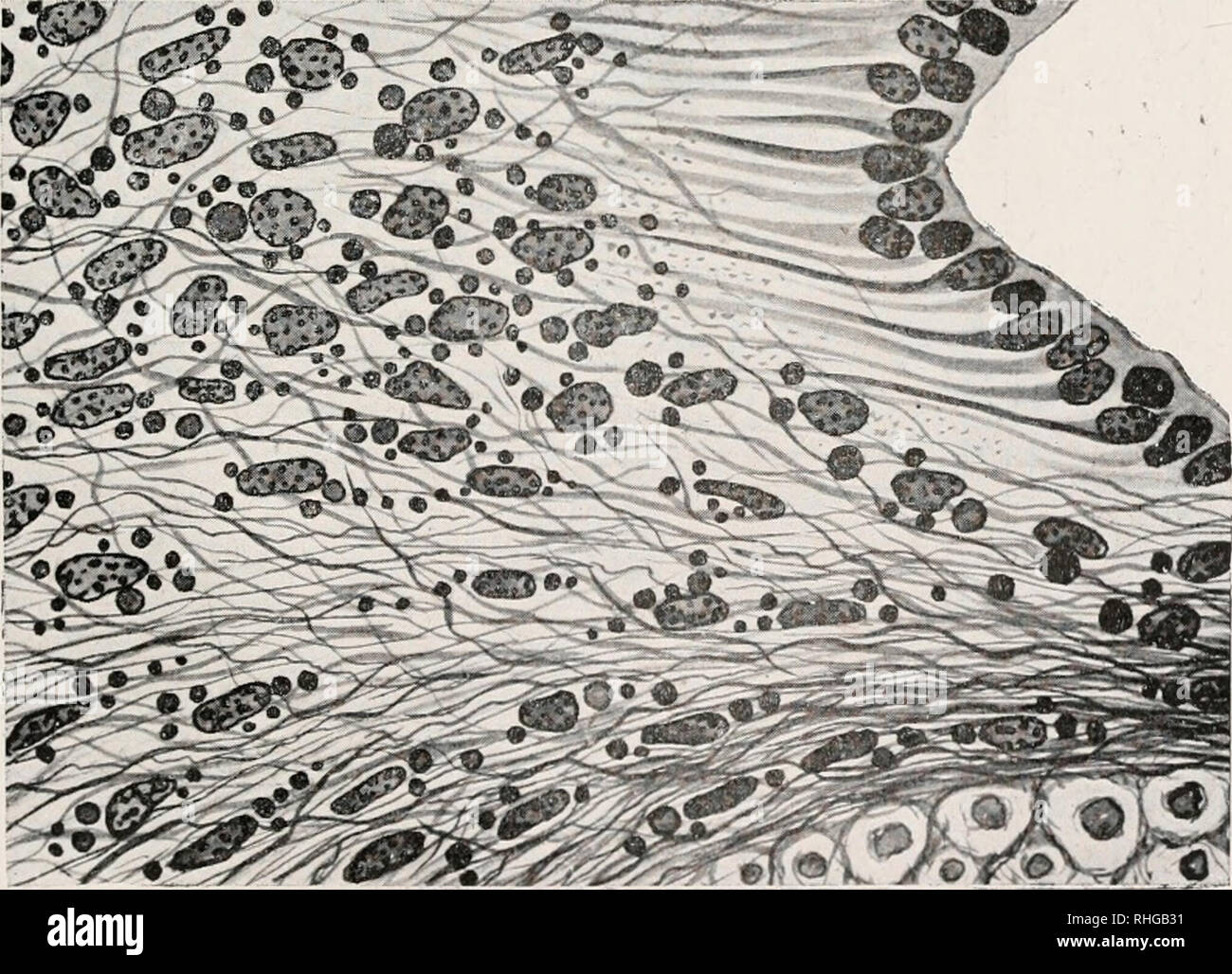 La historia invisible hi-res stock photography and images - Alamy