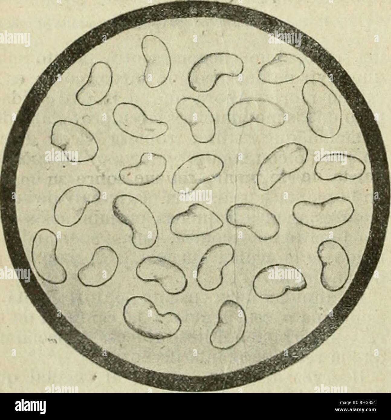 Formas de caja hi-res stock photography and images - Alamy