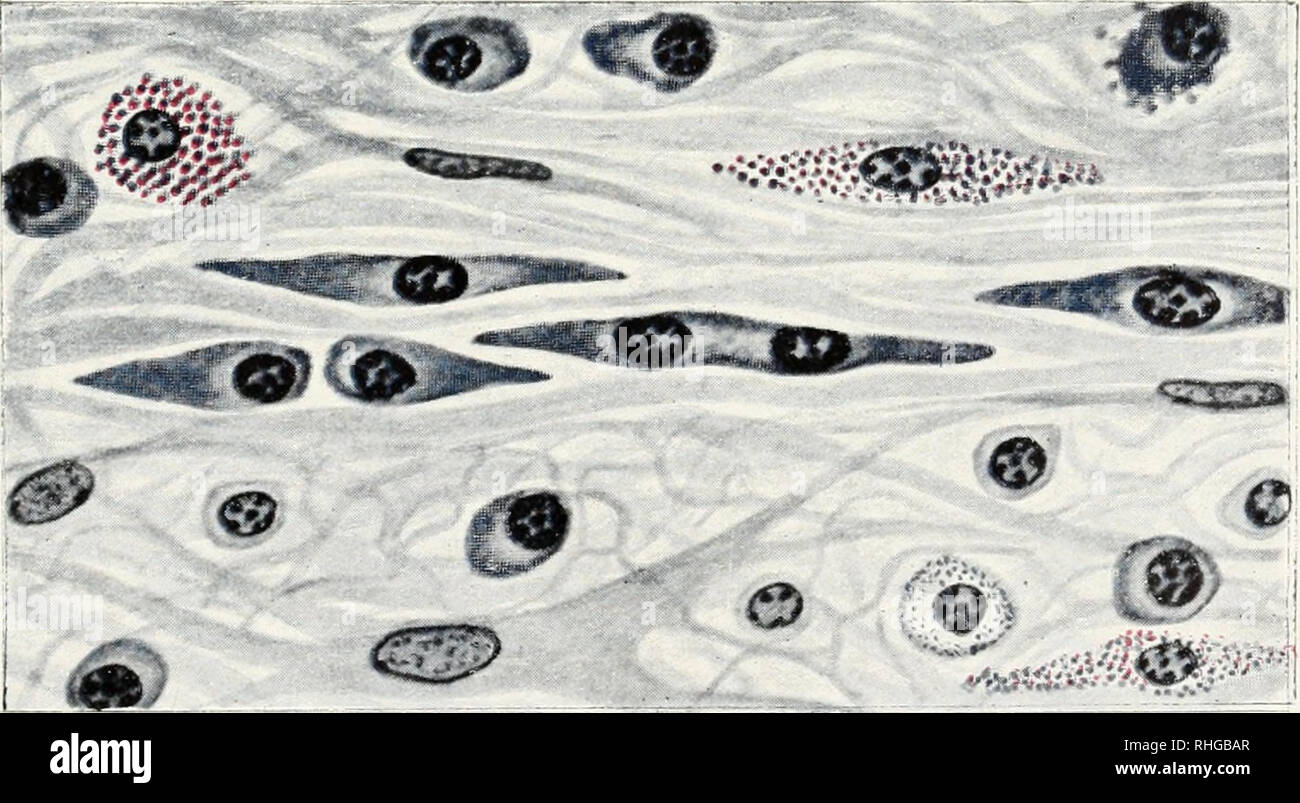 Formas estructurales hi-res stock photography and images - Alamy