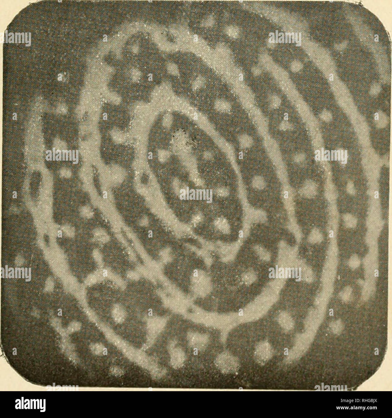 Dactilograma hi-res stock photography and images - Alamy