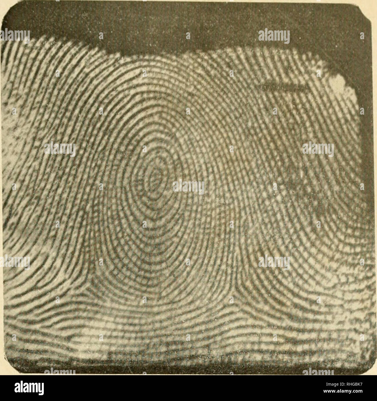 Dactilograma hi-res stock photography and images - Alamy