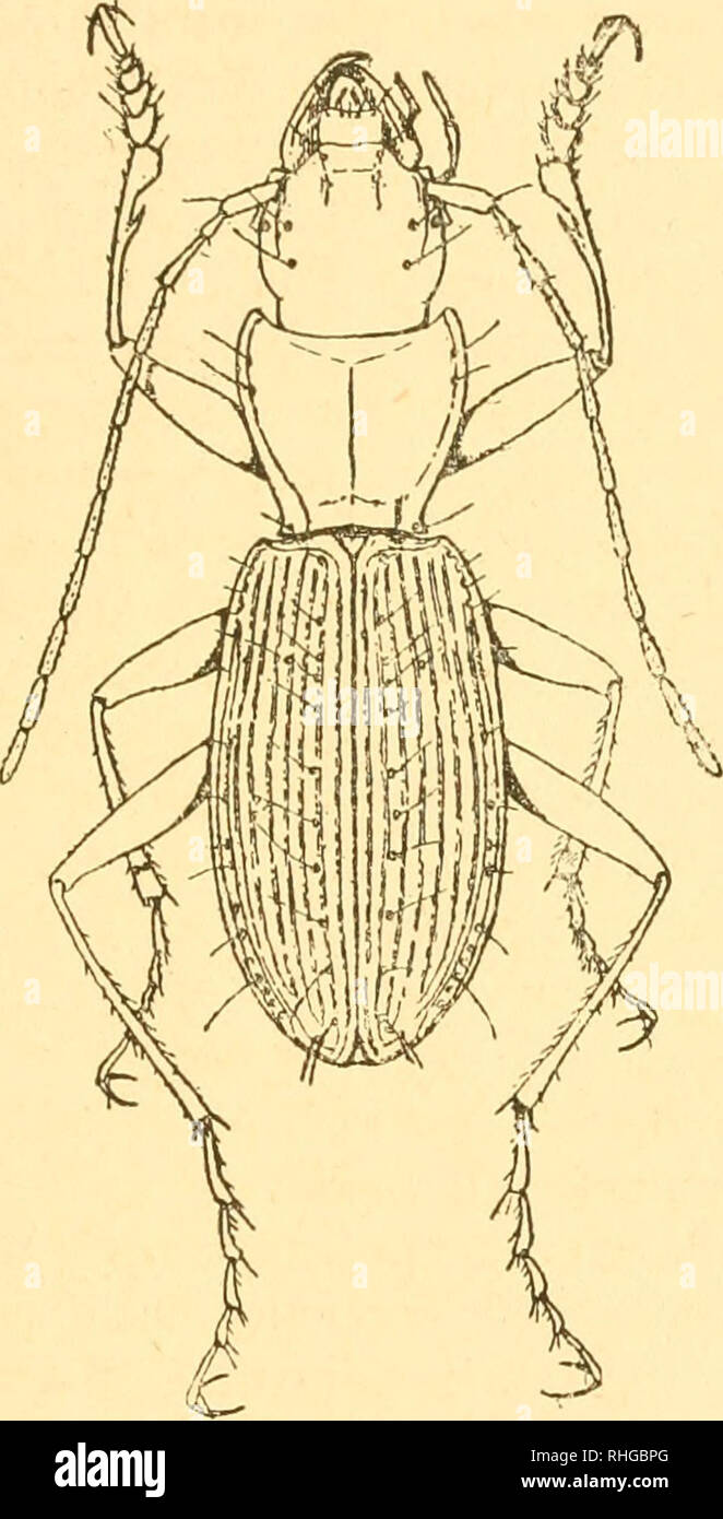 Línea media hi-res stock photography and images - Alamy