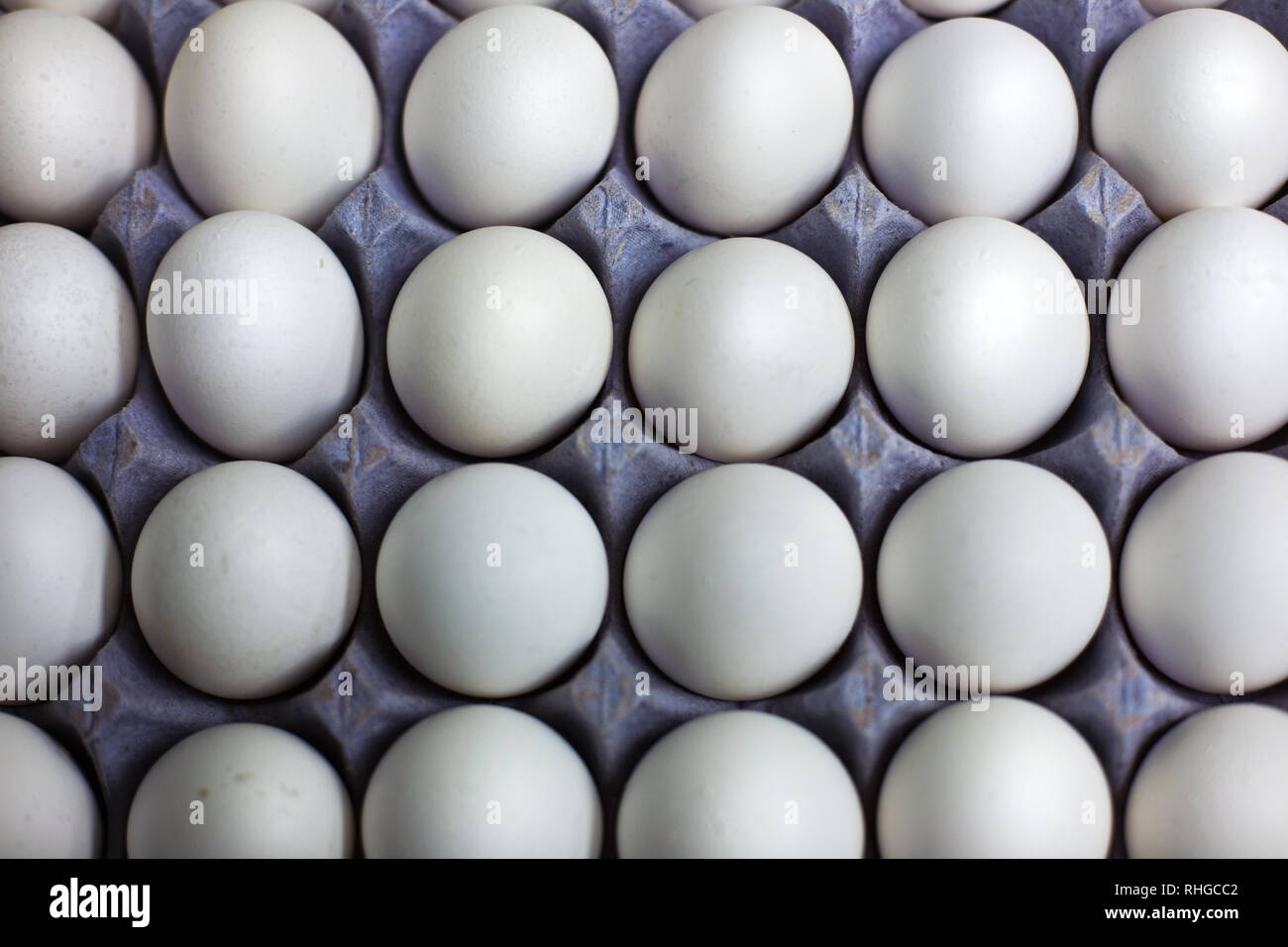 Tray of farm fresh eggs Stock Photo - Alamy