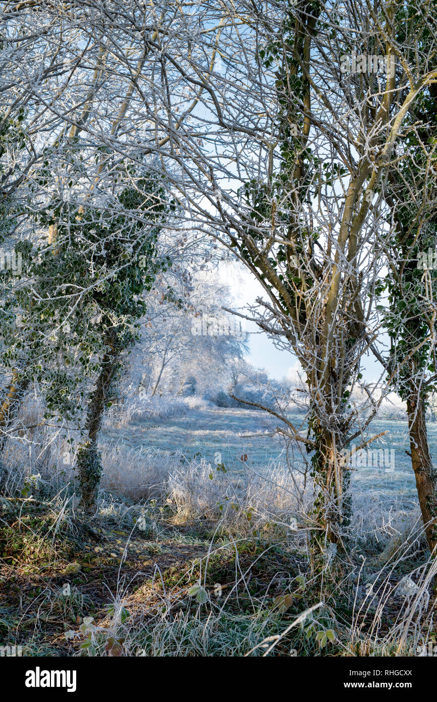 Frost line hi-res stock photography and images - Alamy