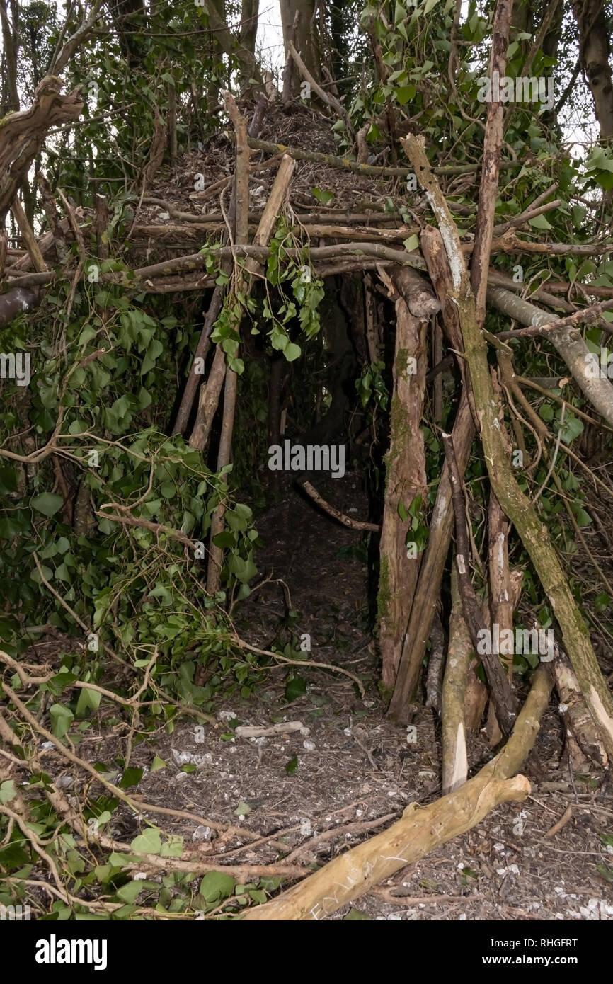 Den building forest hi-res stock photography and images - Alamy