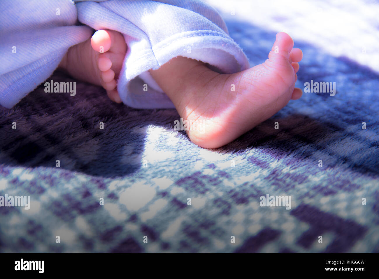 baby newborn baby legs foot. little newly born Stock Photo - Alamy