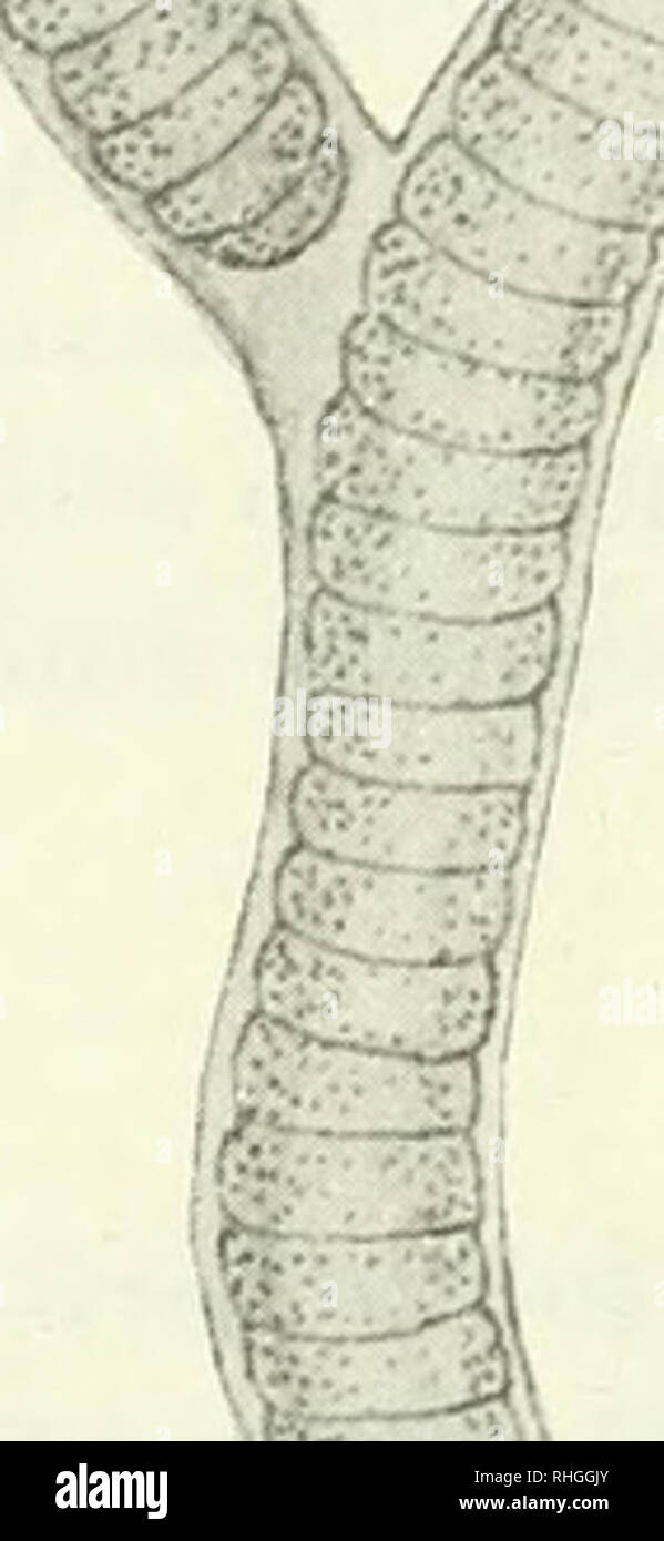 Paredes azuladas hi-res stock photography and images - Alamy