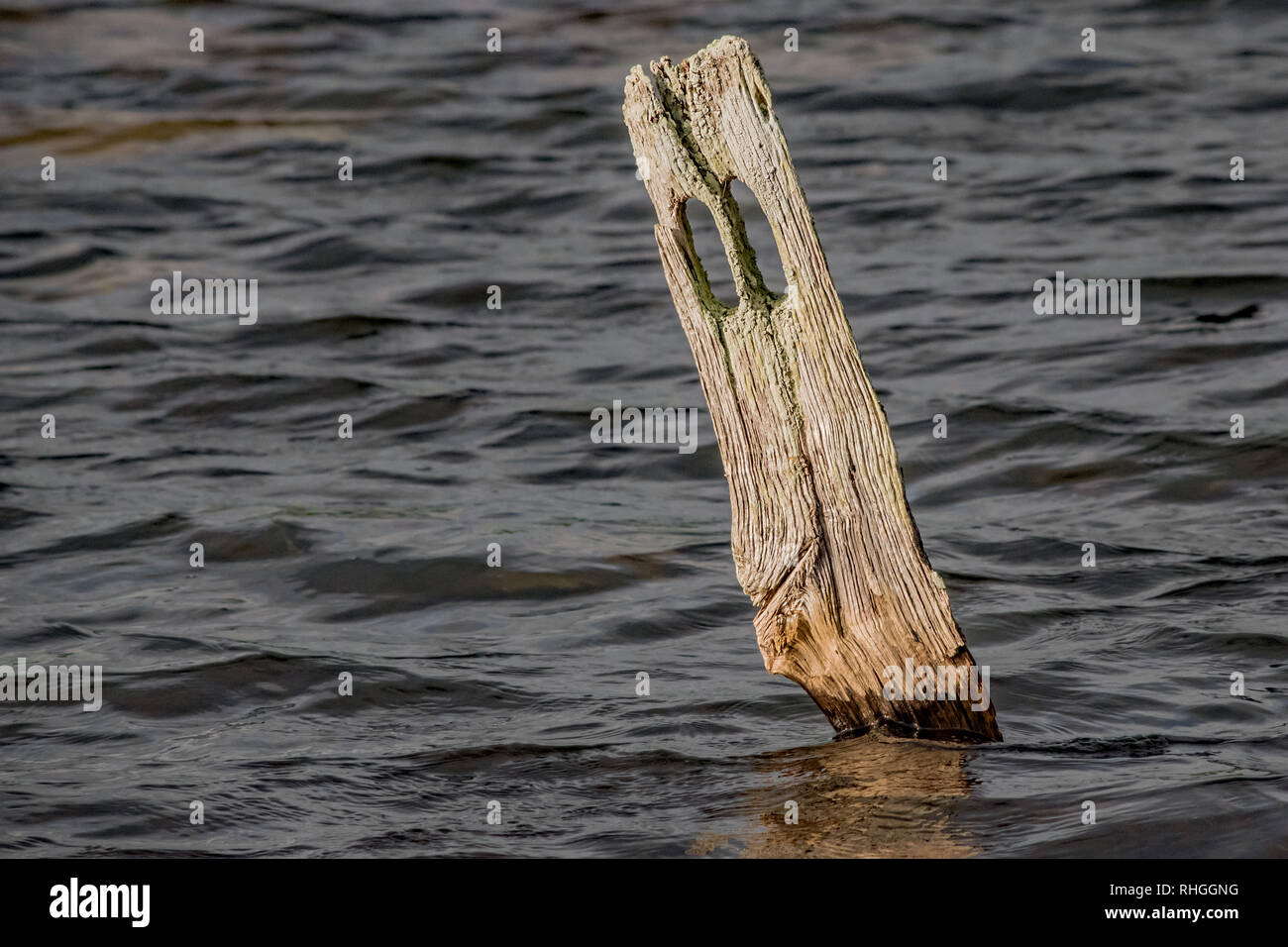 An old weathered mooring post stands alone slowly weathering and ...