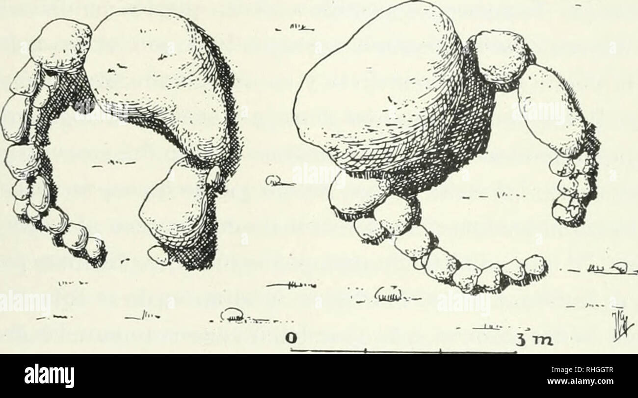 Elementos antiguos hi-res stock photography and images - Alamy