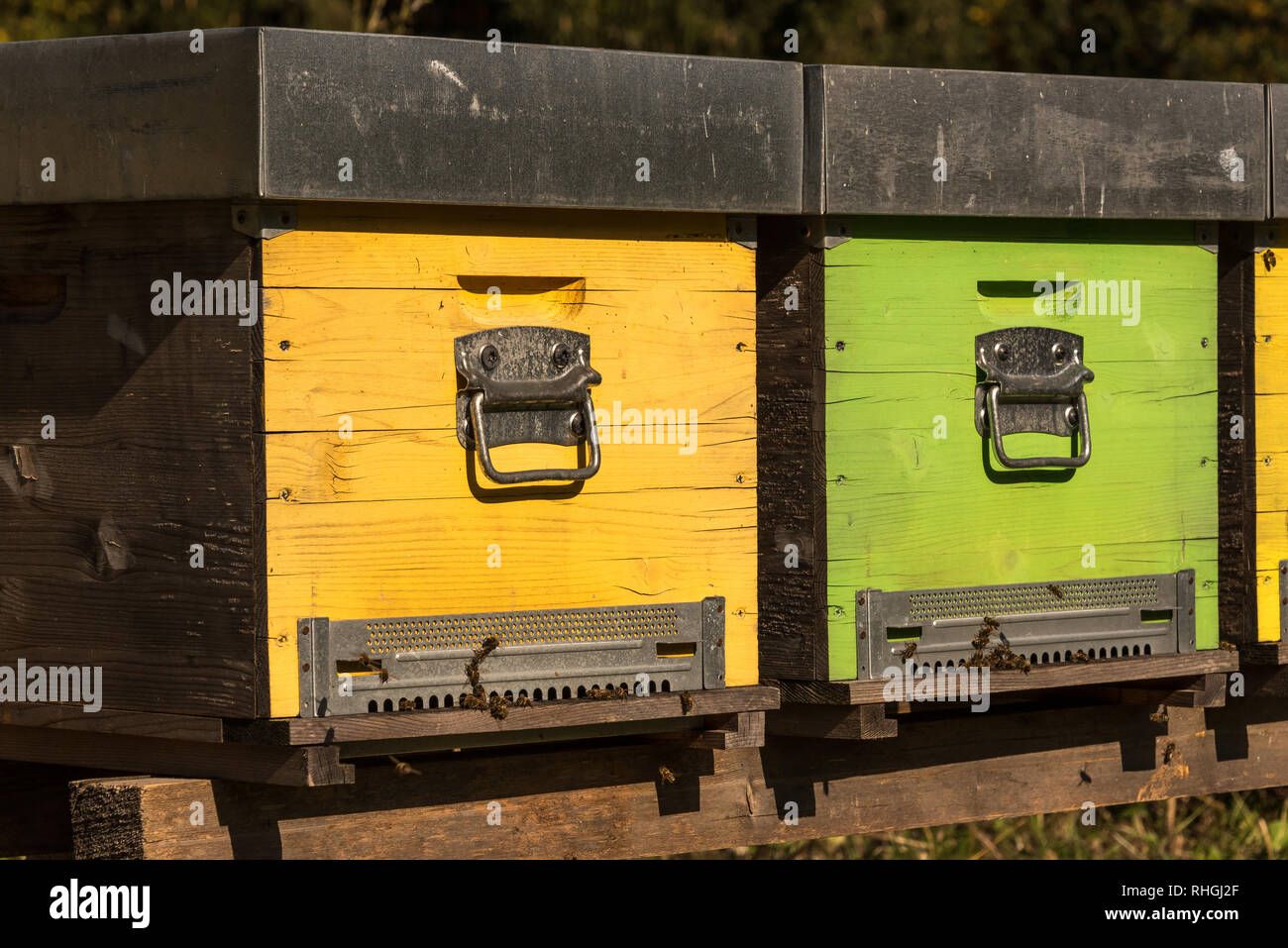 Beehive coloring hi-res stock photography and images - Alamy