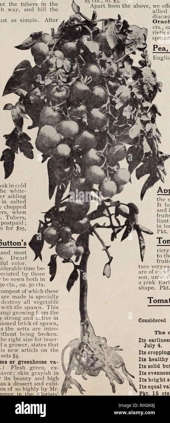 Boddingtons ad hi-res stock photography and images - Alamy