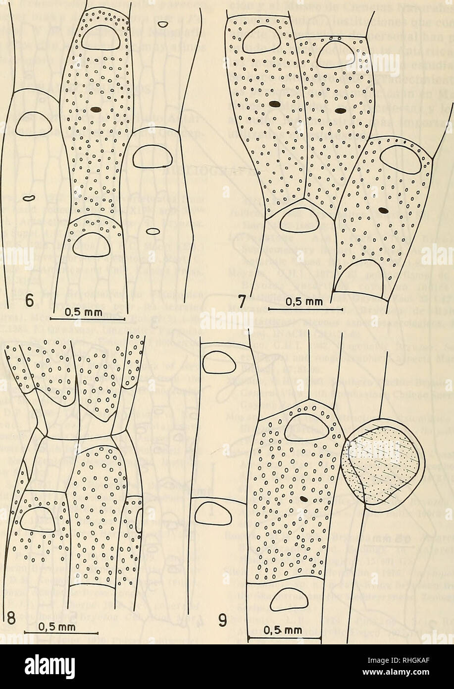 Vista frontal que muestra hi-res stock photography and images - Alamy