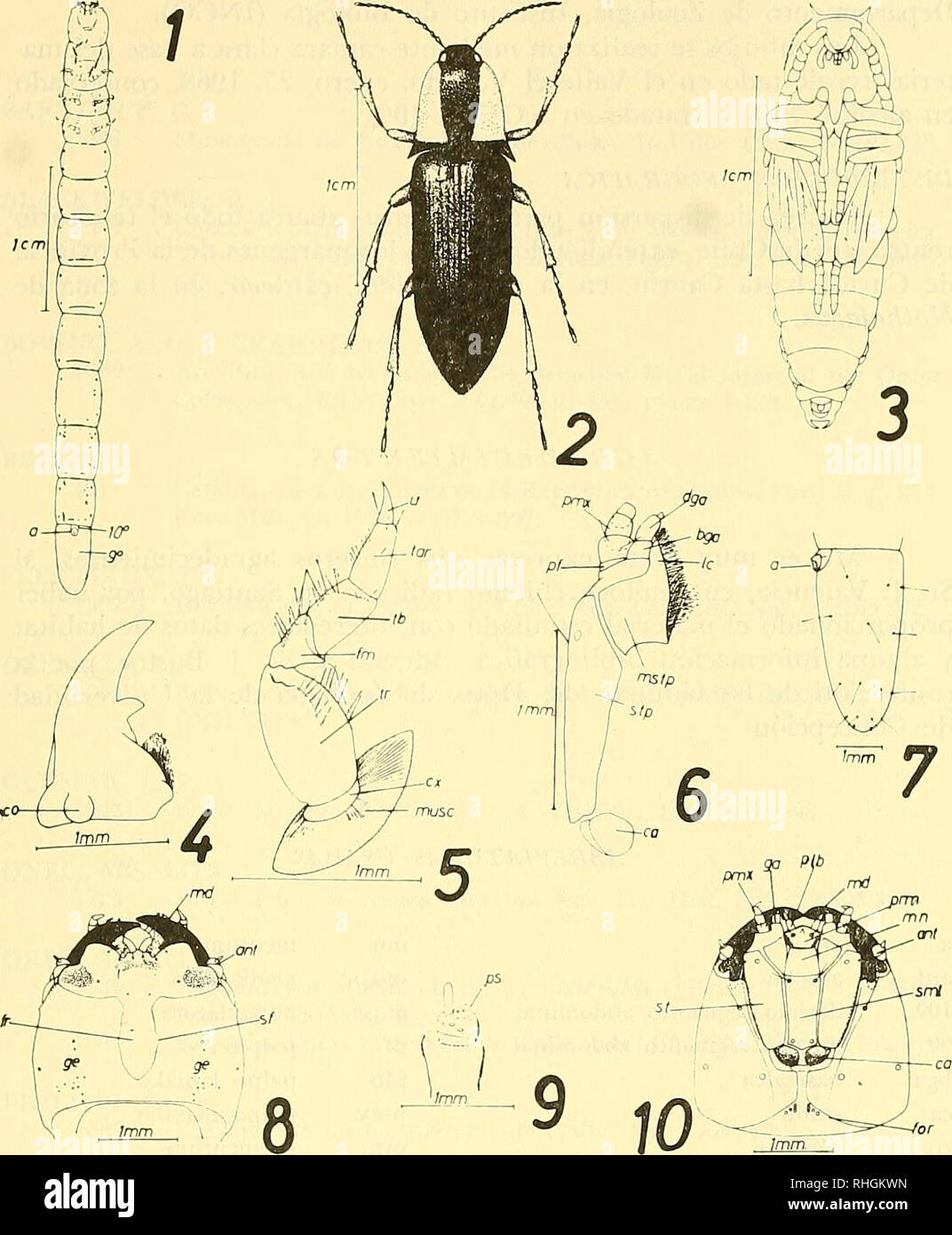 . Boletin de la Sociedad de Biología de Concepción. Sociedad de ...