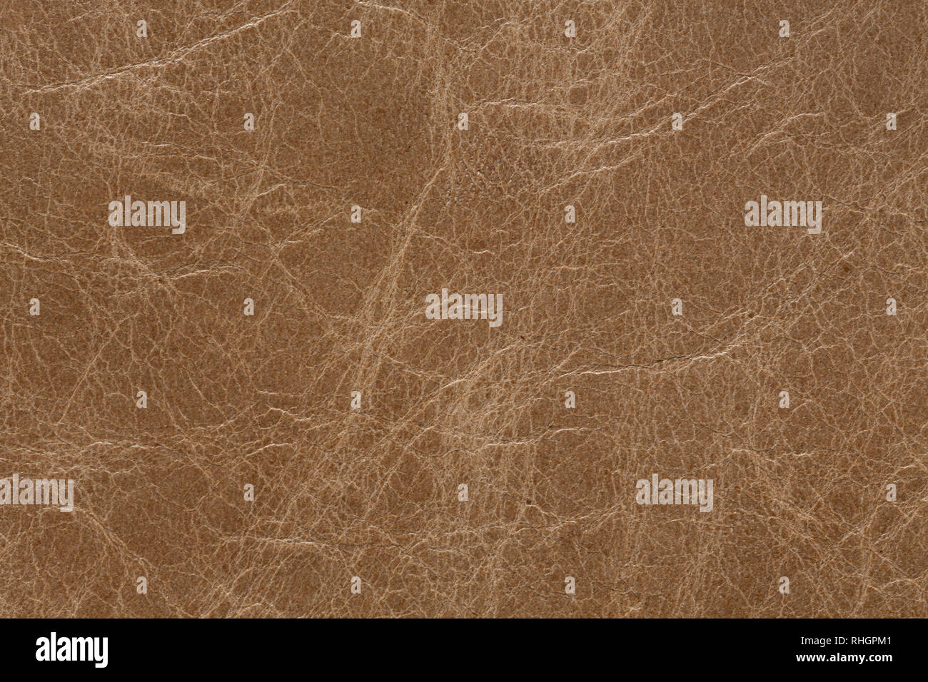 Exquisite leather texture in unusual colours for your unique project ...