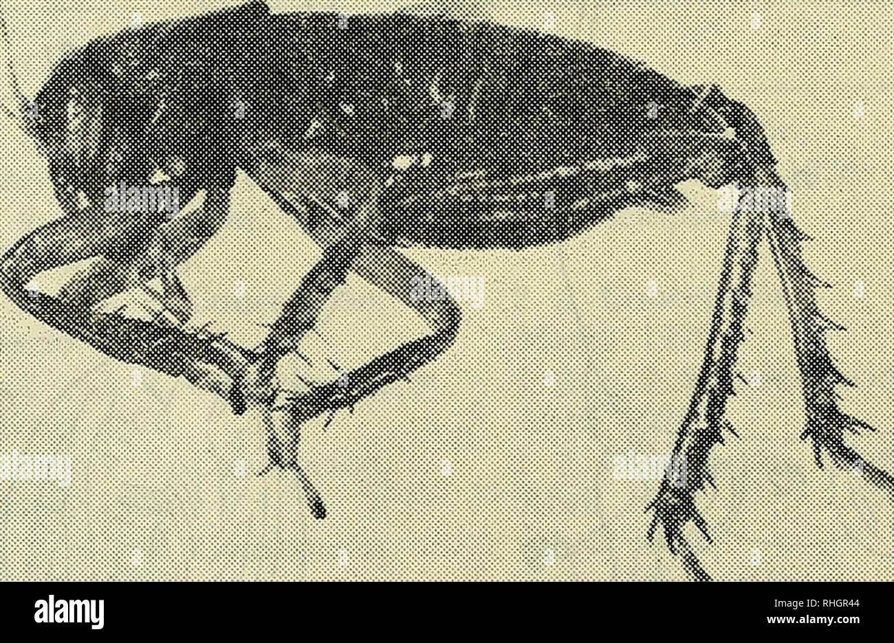 Longitud del cuerpo 25 mm hi-res stock photography and images - Alamy