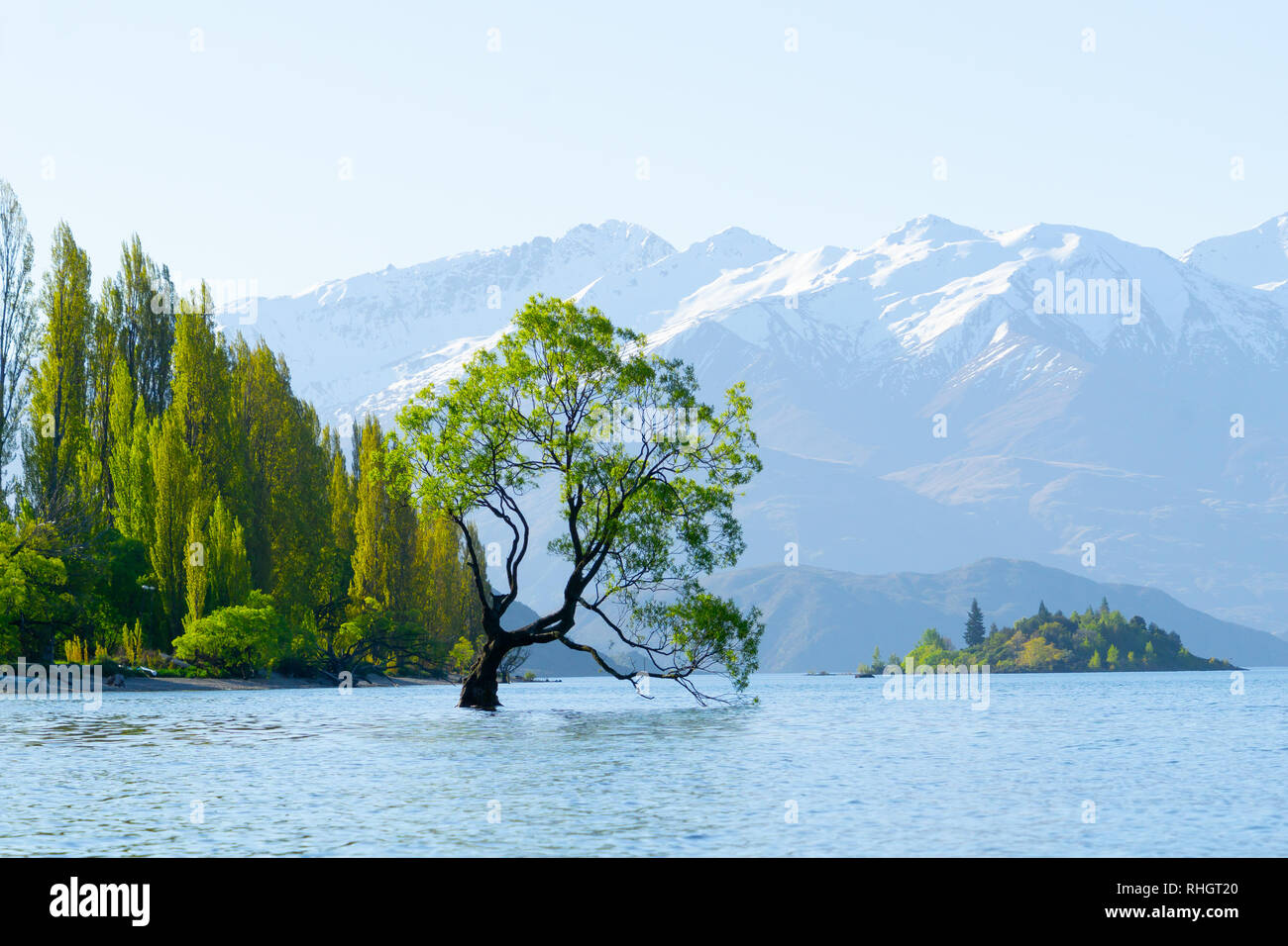 That wanaka tree hi-res stock photography and images - Alamy