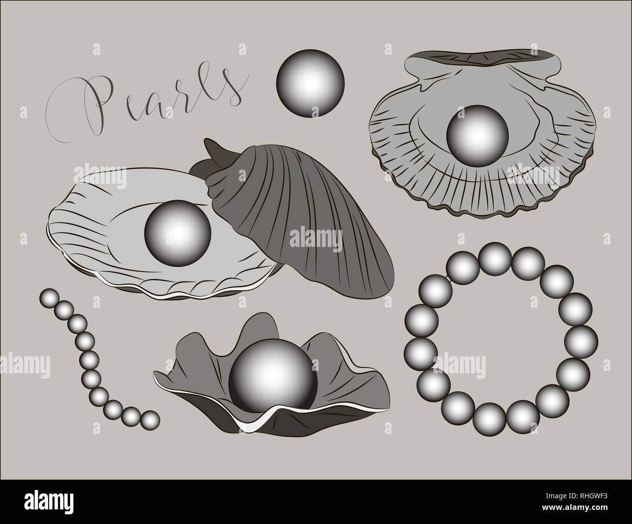 Set of shell with pearl isolated on light background. Vector ...