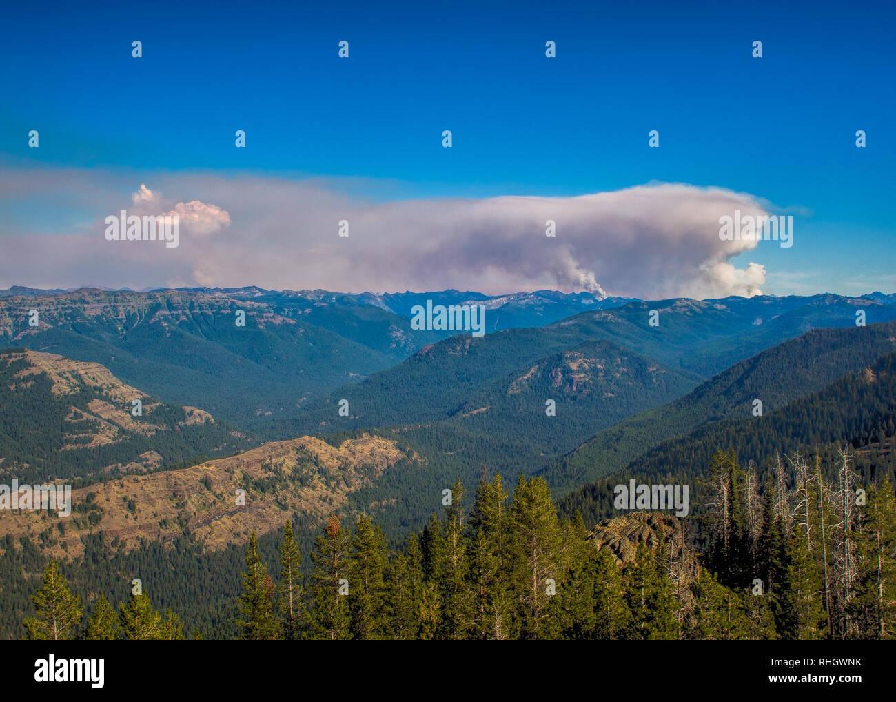 Smoke columns from multiple wildfires in the Eagle Cap Wilderness of ...
