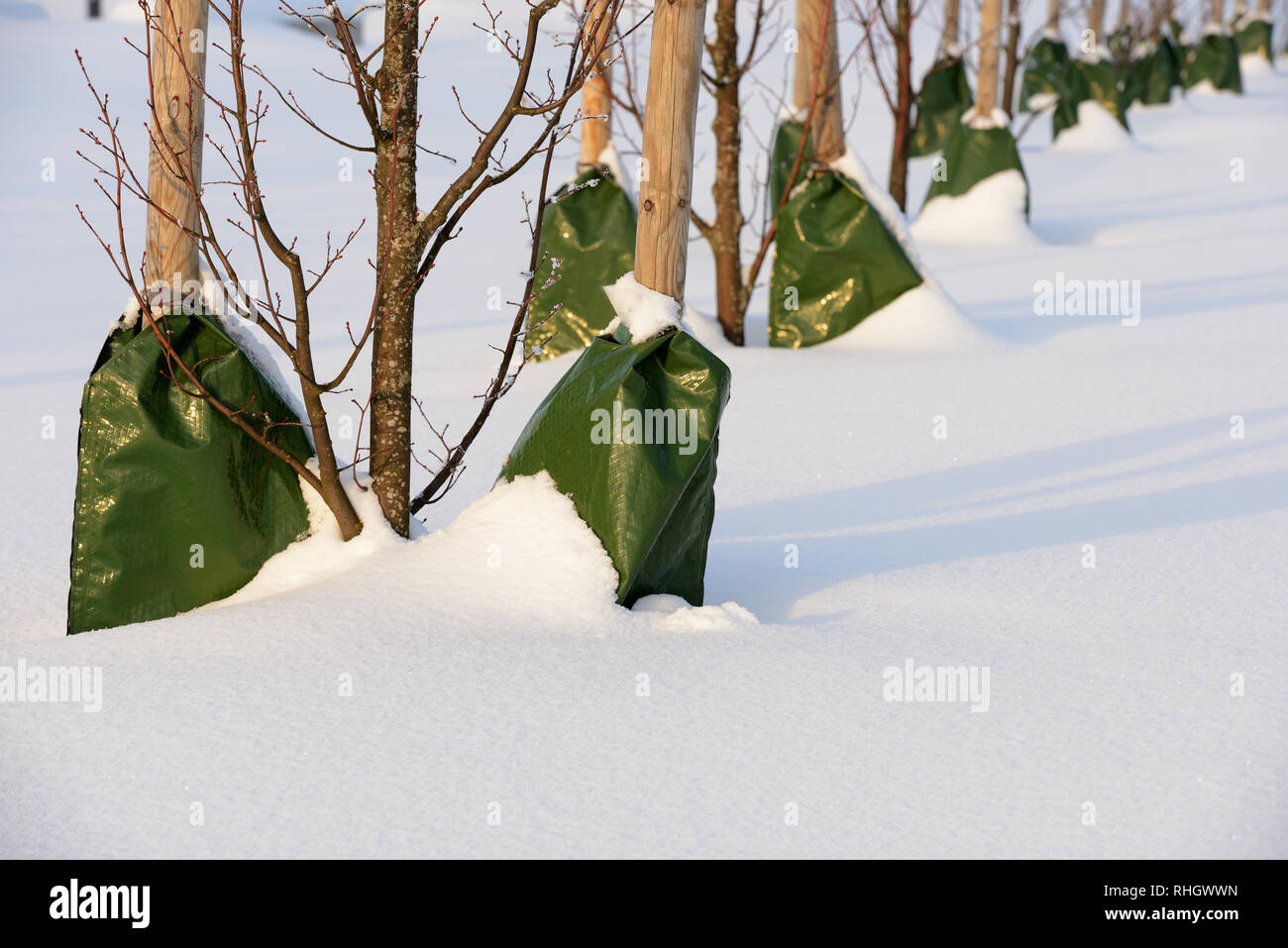 Planting outdoor hi-res stock photography and images - Alamy