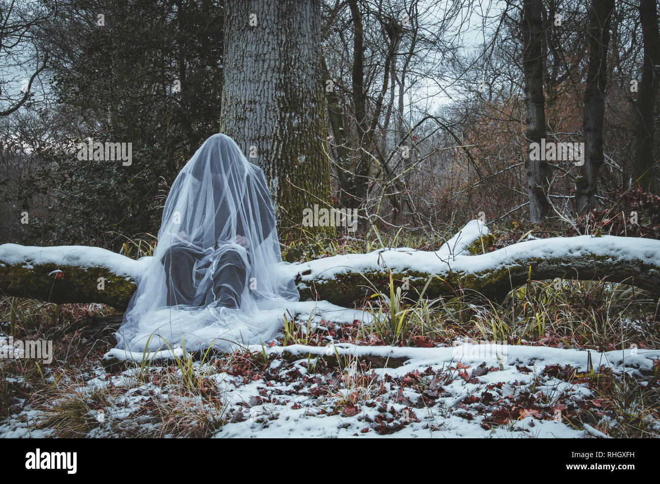 Hooded figure in woods hi-res stock photography and images - Alamy