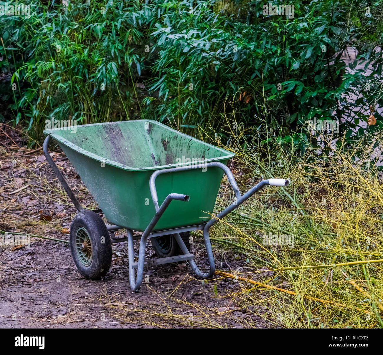 green wheelbarrow in a garden, working on garden maintenance, equipment ...